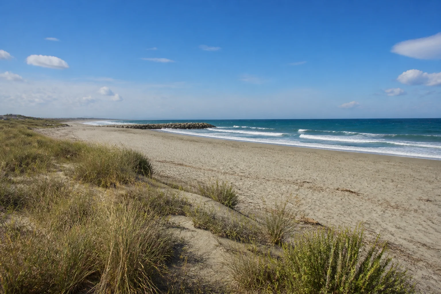 Spiaggia Libera Calambrone – spiaggia di Pisa (Pisa)